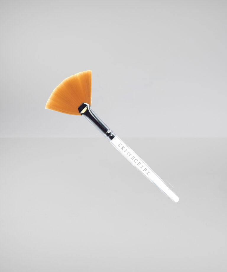 Professional Fan Brush with Synthetic Fibers – Relevé Aesthetics